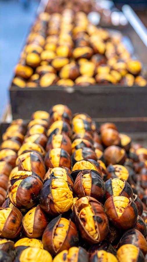 Roasted Chestnuts on the Street of Istanbul, Turkey. Fried Chestnut ...