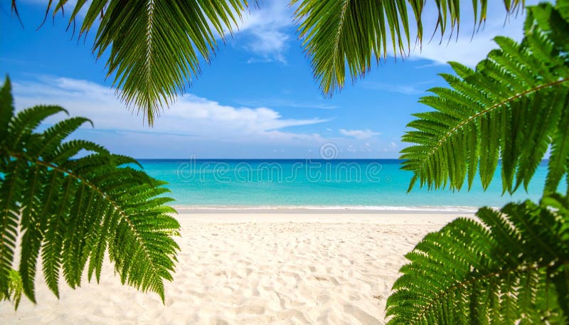 Lush Green Ferns at Beach Front with Transparent Sea and Calm Sky Stock ...