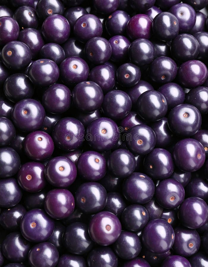 Ripe Acai Berries As Background, Top View. Stock Illustration ...