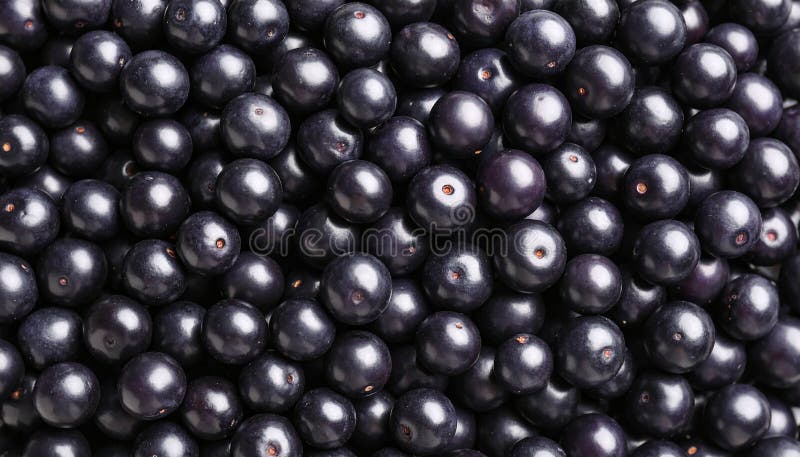 Ripe Acai Berries As Background, Top View. Stock Illustration ...