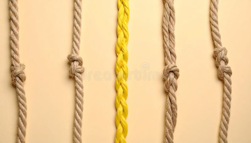 Braided Ropes on Color Background, Top View. Unity Concept Stock ...