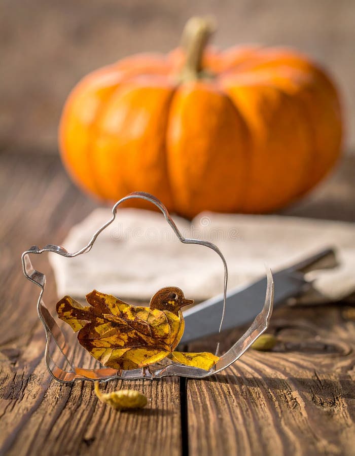 Balanced Festive Display Thanksgiving Outline Object Stock ...