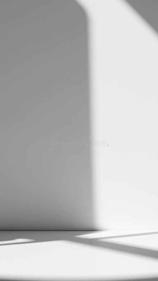 Abstract White Room Empty Studio with Shadow on the Wall, for Display ...