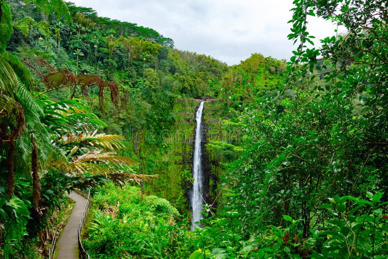 High Akaka Waterfall Rainforest Jungles Hawaii Island Stock Photos ...