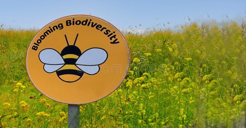 Generated Image Biodiversity Sign of a Bumble Bee in a Field Stock ...
