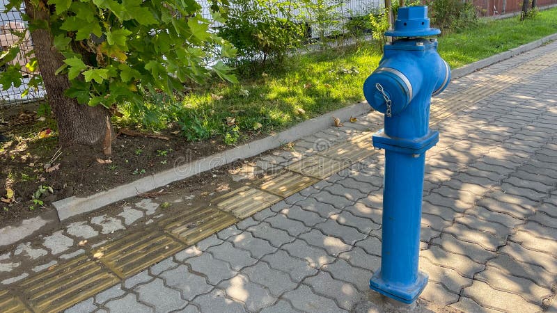 A Bright Blue Fire Hydrant Positioned on a Paved Sidewalk beside a Road ...
