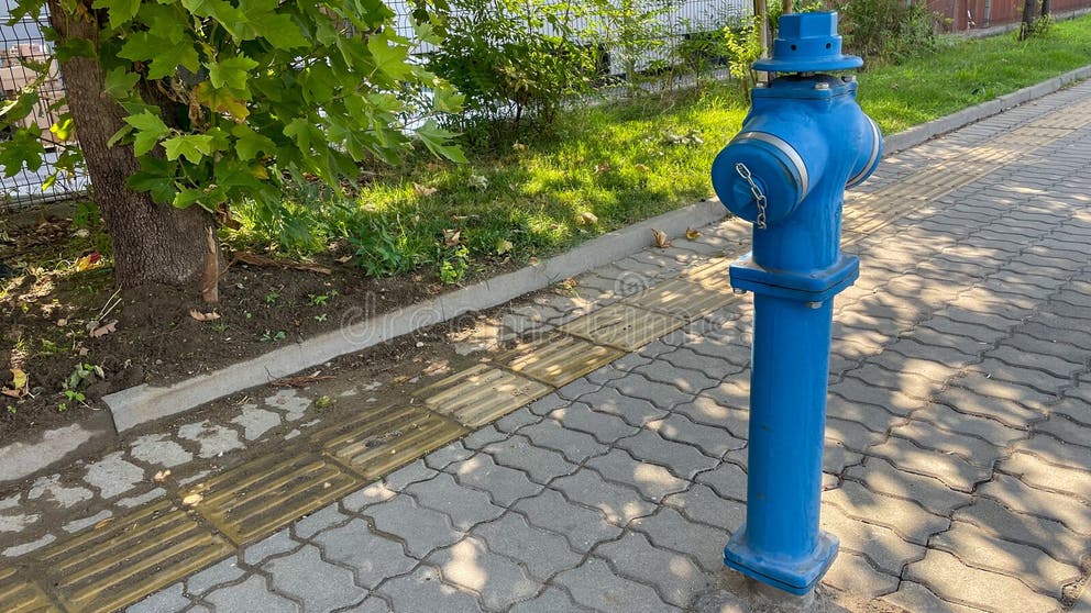 A Bright Blue Fire Hydrant Positioned on a Paved Sidewalk beside a Road ...