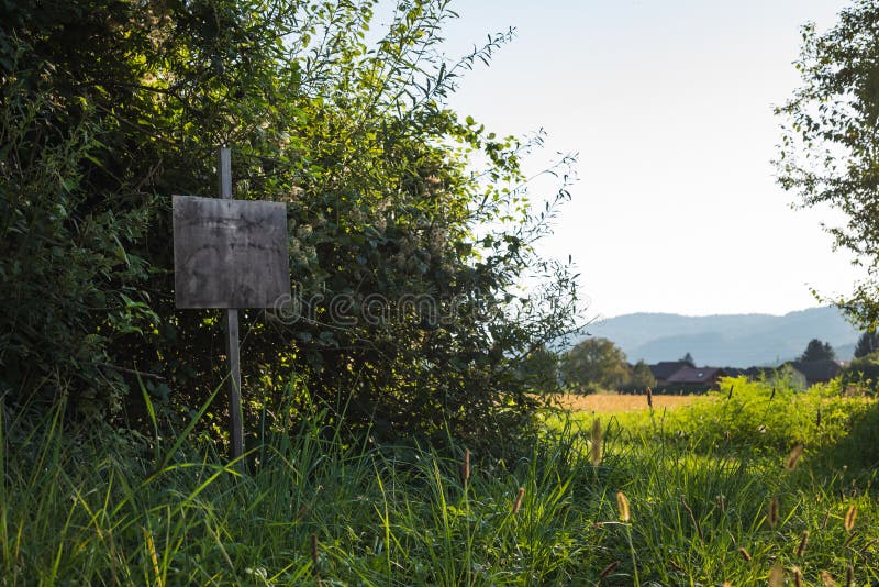 Empty Blank Wooden Sign Board in Nature Stock Photo - Image of message ...