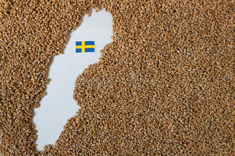 Generated Image Flag of the Kingdom of Sweden. Map of Sweden on the ...