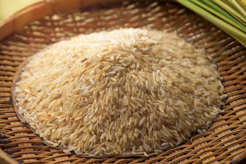 Generated Image Freshly Harvested Rice Stock Photo - Image of grass ...