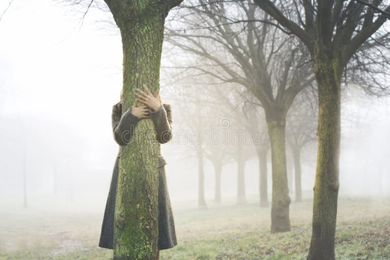 Hands Touch the Trunk of a Tree, Embracing it in a Grove Surrounded by ...