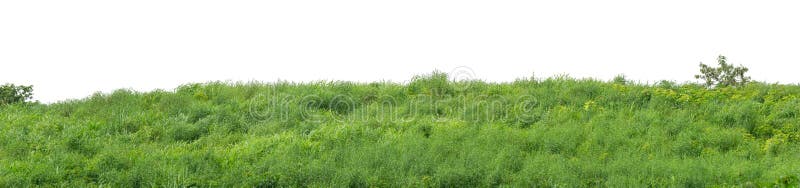 Alpha Channel Stone Stock Photos - Free & Royalty-Free Stock Photos ...