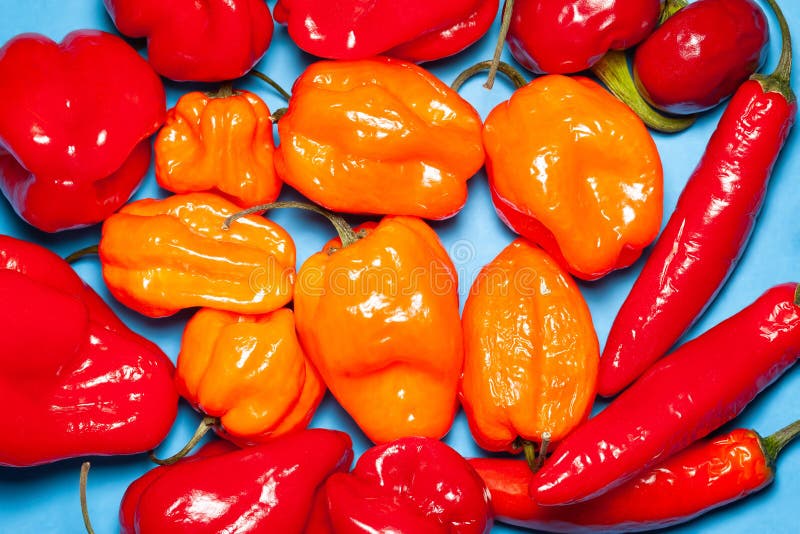 Hot Pepper. Texture of Chili Peppers. Top View of a Bunch of Peppers ...