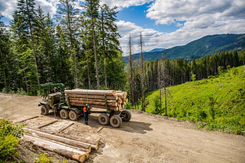 Logging Equipment. Lumberjack with Modern Harvester Working in a Forest ...