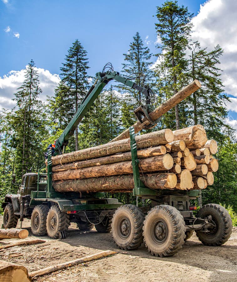 Lumberjack with Modern Harvester Working in a Forest. Forest Industry ...