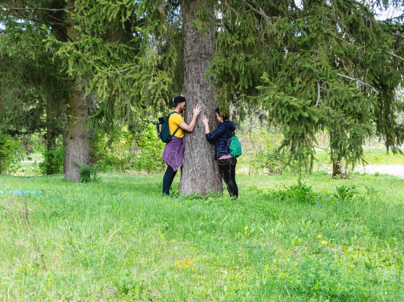 Grounding Bonding Stock Photos - Free & Royalty-Free Stock Photos from ...