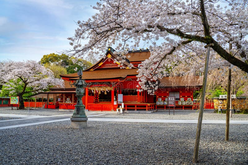 An Old Japanese Shrine in Tokyo in Spring Cherry Blossoms Stock Photo ...