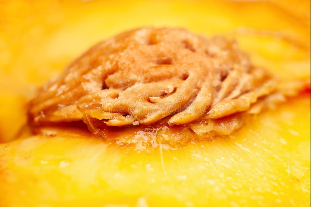 Peach Texture. Juicy Peach Pulp with Seed. Selective Focus Stock Image ...