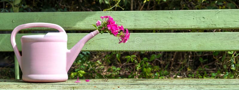 Pink Watering Can with Phlox on Garden Bench. Banner Stock Image ...
