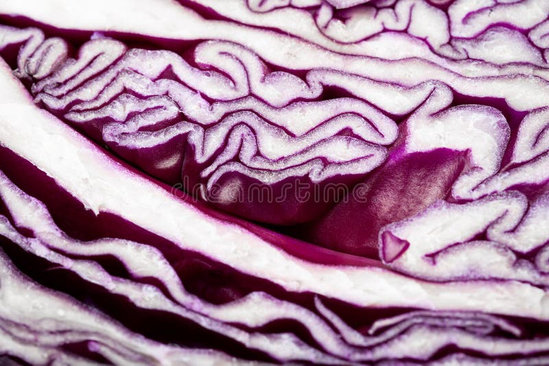 Purple Cabbage. Full Frame Cabbage Cut. Cabbage Texture Stock Image ...