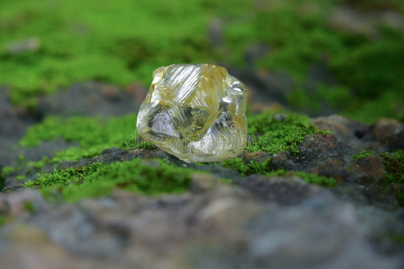 Uncut Lump Stock Photos - Free & Royalty-Free Stock Photos from Dreamstime