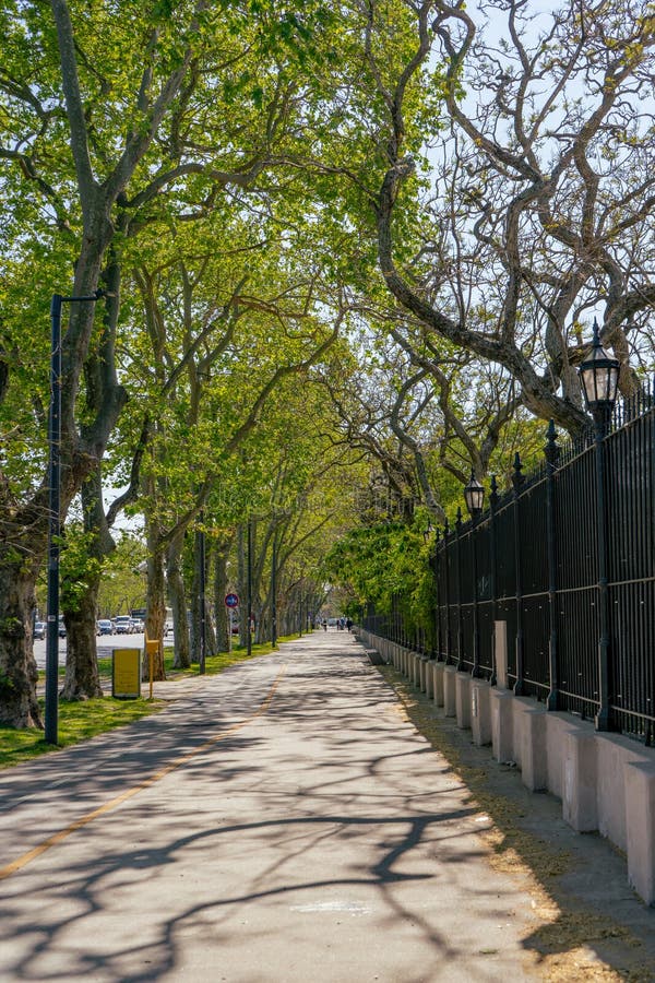 Sidewalk with Trees and Bicycle Path with Railings Along the Entire ...