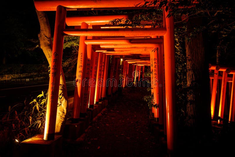 A Tranquil Illuminated Pathway of Red Torii Gates at Night, Showcasing ...