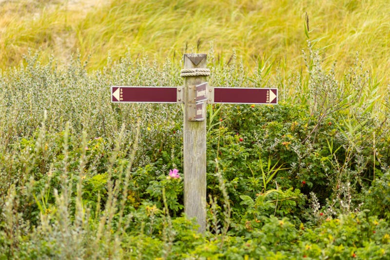Wooden Signpost Directing Travelers at a Trail Intersection Surrounded ...
