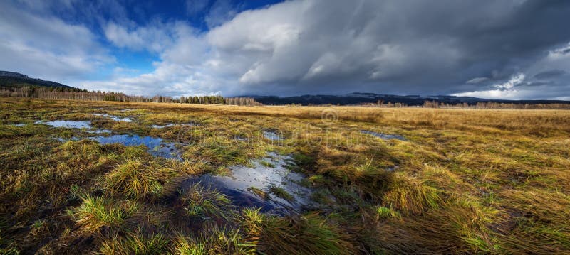The Wet Landscape - Early Spring Stock Photo - Image of fresh, foliage ...