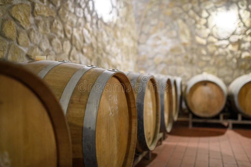 Wine Cellar with Oak Barrels for Aging Wine. Traditional Wine Storage ...