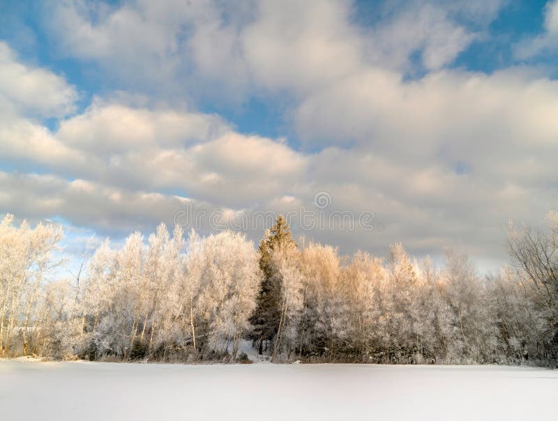 287,458 Tree Line Stock Photos - Free & Royalty-Free Stock Photos from ...
