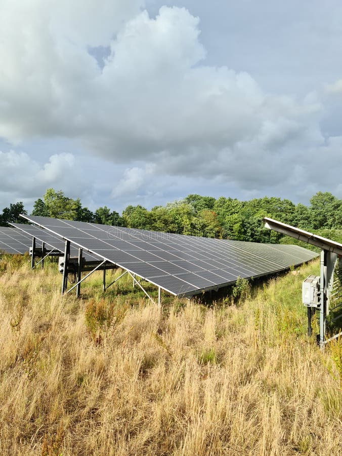 Generating Clean Energy with Solar Modules in a Big Park in Northern ...