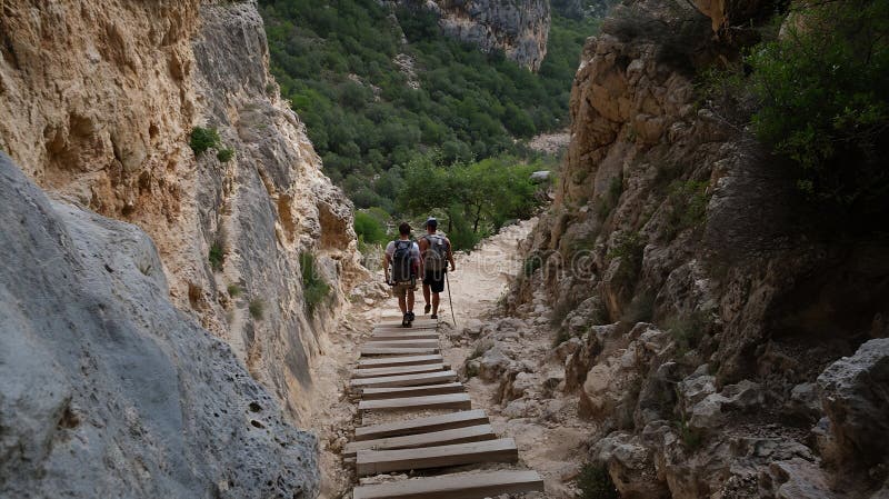 Generative AI Adventurous Hikers Walking Down a Steep Path Surrounded ...