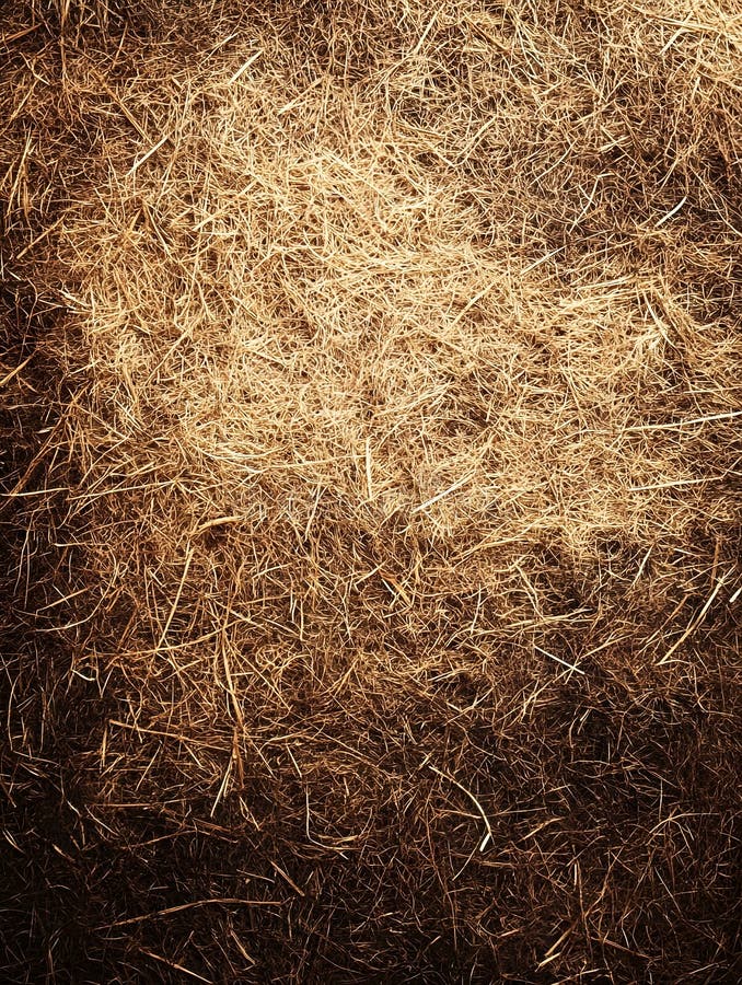 Generative AI Detailed Hay Texture Creating a Rustic and Natural ...