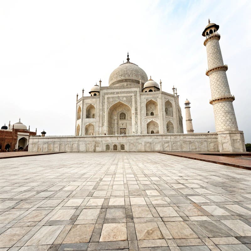 Generic Background Isolated on White Background Stock Illustration ...