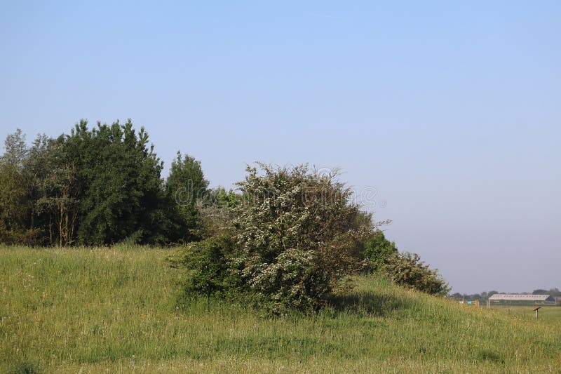 Countryside view - low sun stock photo. Image of fields - 85983314