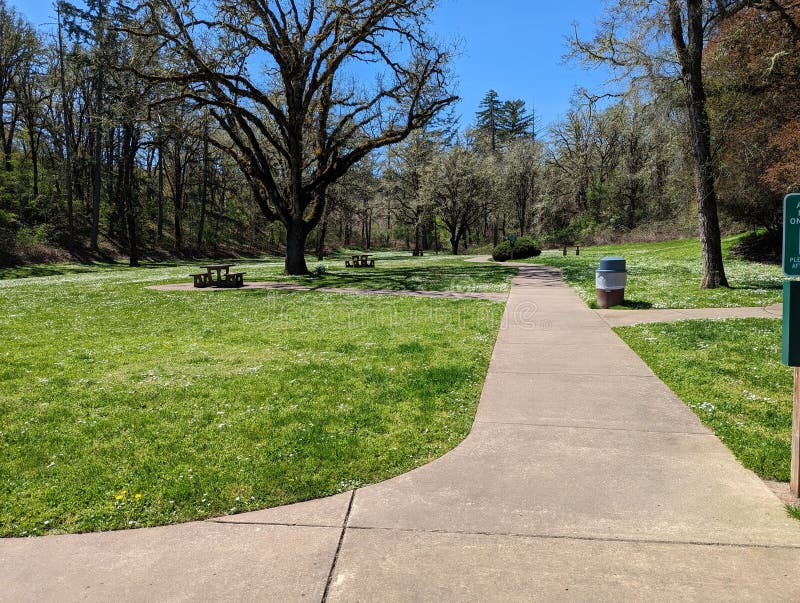 Generic Cross-section of a Park or Rest Stop Stock Image - Image of ...
