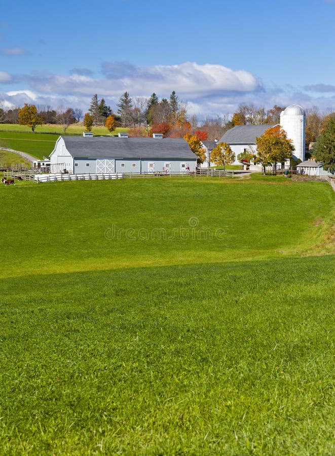 Generic Dairy farm stock image. Image of cows, american - 27242491