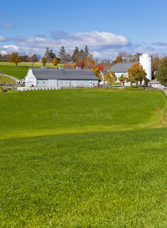 Generic Dairy farm stock image. Image of american, cows - 27242463