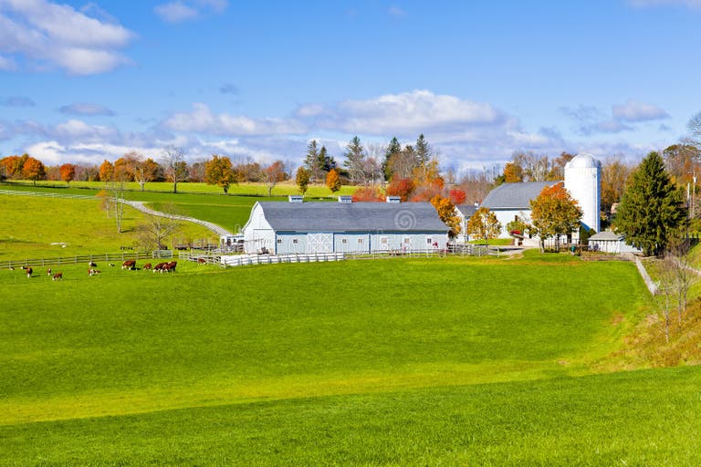 Generic Dairy farm stock image. Image of dairy, farmland - 27242483