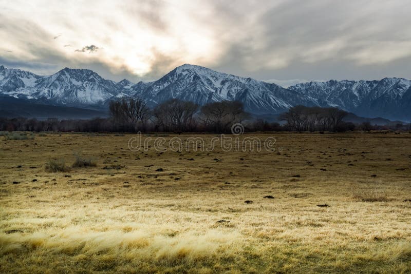 Generic Desert Scene stock image. Image of cold, plants - 120432045