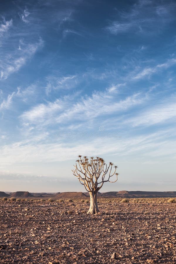 Generic Desert Scene with Path To Horizon Stock Image - Image of africa ...