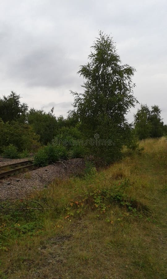 Generic Landscape View Treeton Stock Image - Image of view, generic ...
