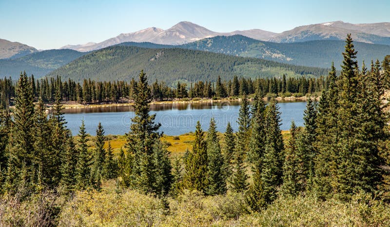 Generic Mountain Vegetation. Aerial View. Trees and Terrain. Stock ...
