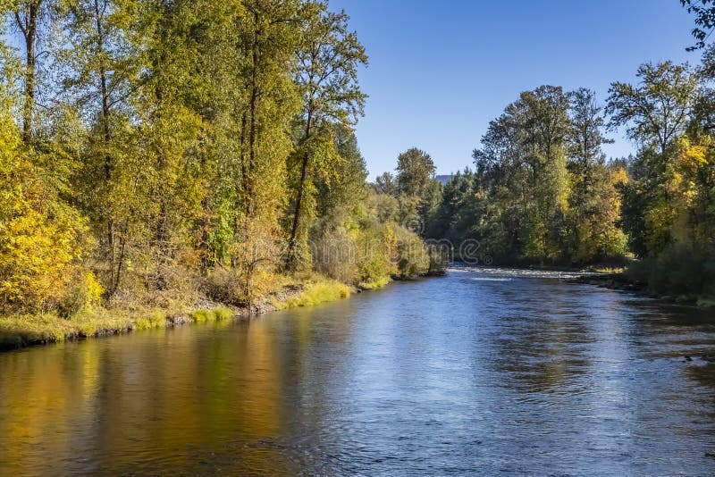 Generic Outdoor Garden Nursery Stock Image - Image of plants, shrubs ...