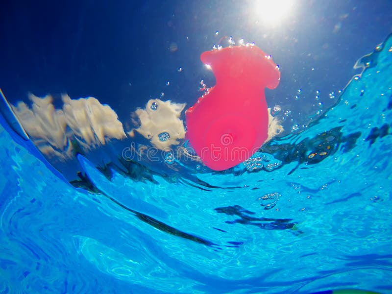 Generic Rubber Fish Toy in Swimming Pool, Underwater View Stock Image ...