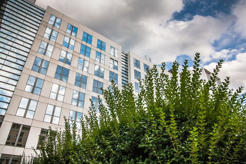 Generic Structure of Hi-tech Office with Regular Linear Pattern of ...