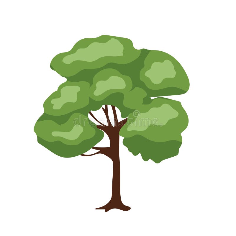 Generic Tree Plant Image, Single Tree with Green Leaves, Realistic ...