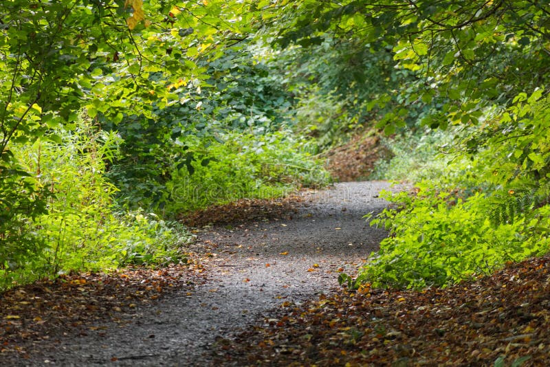 Generic Walking Path in Autumn Stock Image - Image of environment ...