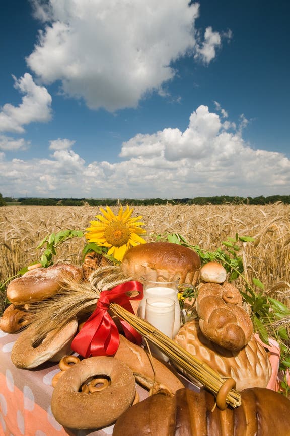 Generous gifts of summer. stock photo. Image of flower - 10065846